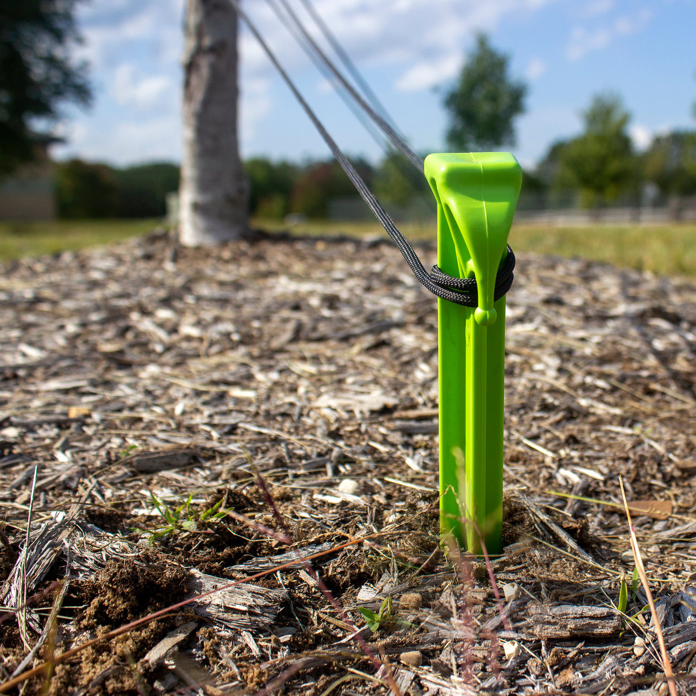 Utility Stakes — Mr. Chain